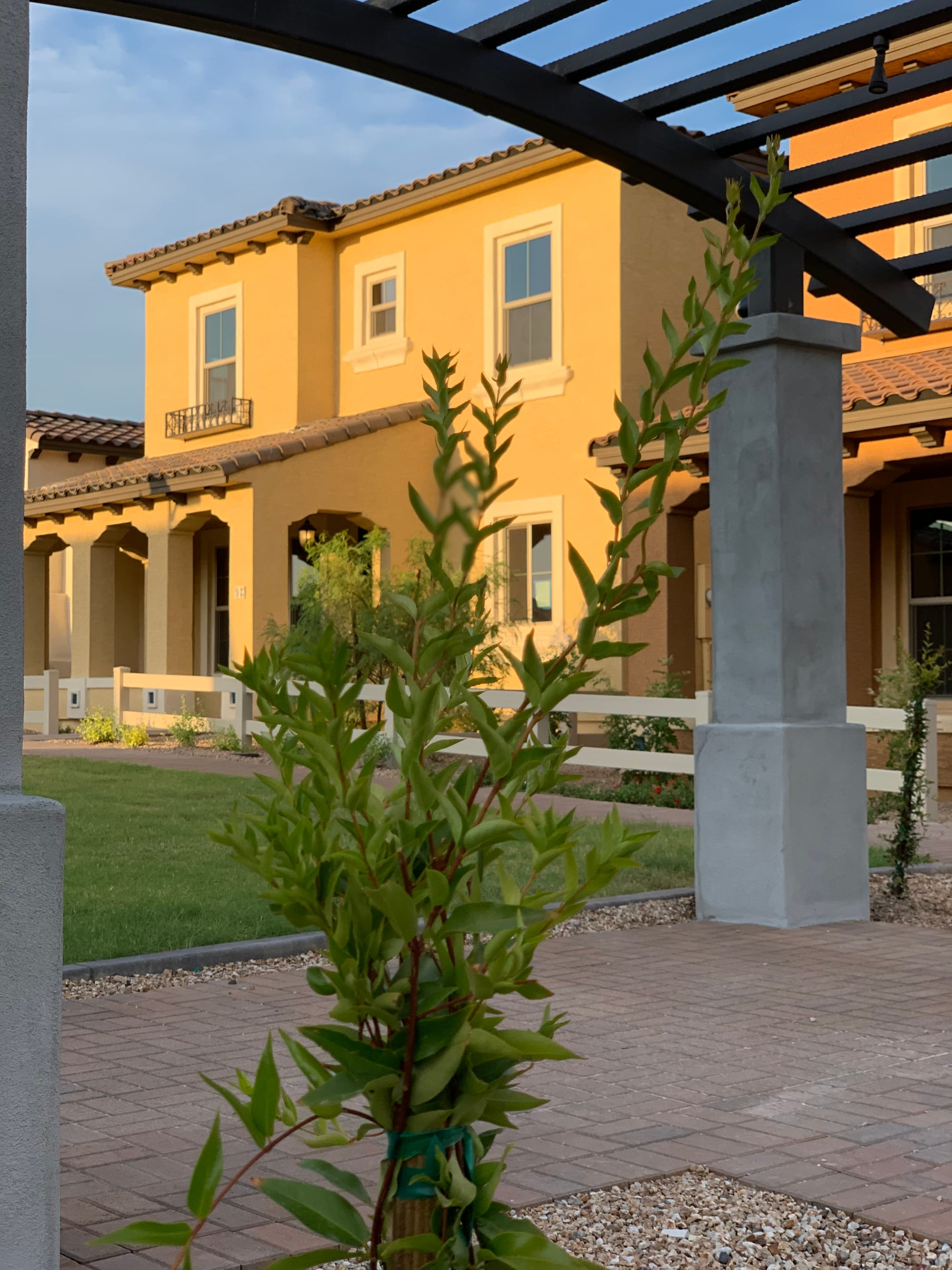 The Cottage Foundation